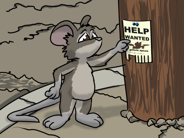 Help Wanted – Cavendish Fox